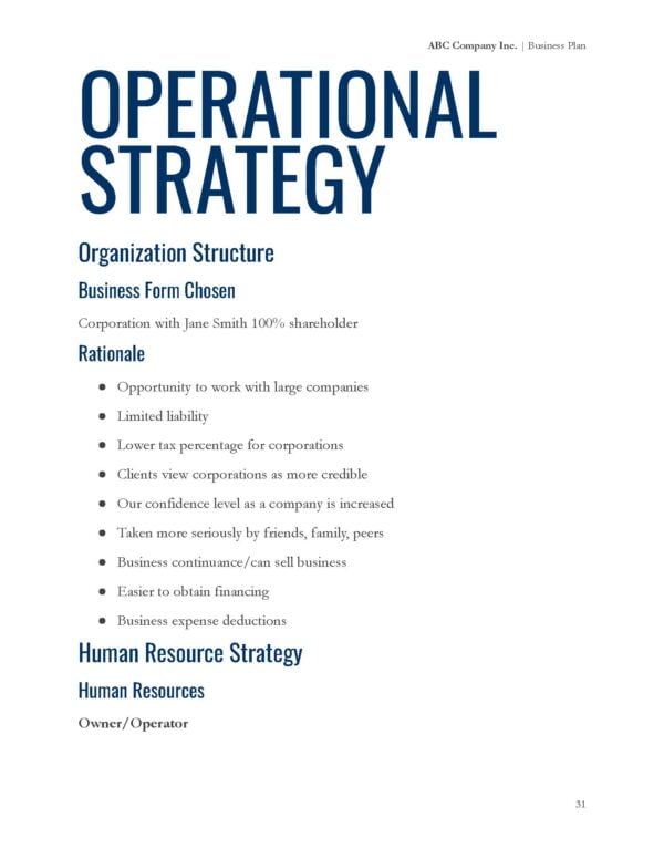 How to Write an Effective Operational Strategy